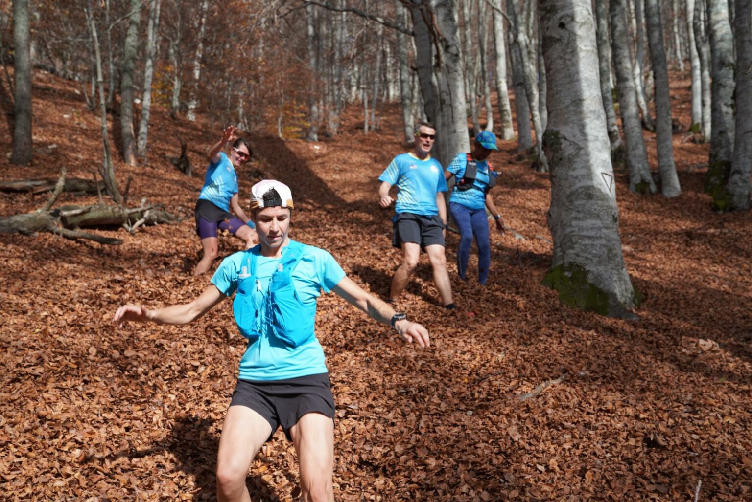 TRAIL DU VENTOURET - Ventoux Trail Club